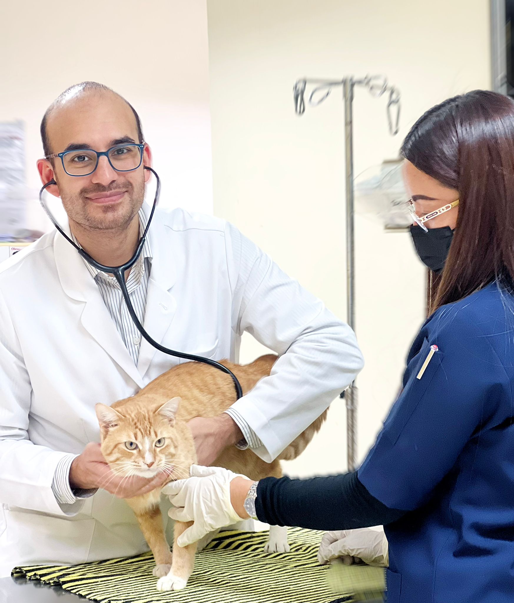 Our Veterinary Team in Doha, Qatar | The Veterinary Surgery